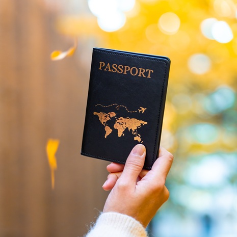 Golden Passport | Second Citizenship by Investment with La Vida